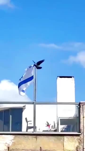 Fuck your nasty flag @Saysumptin - LiveGore.com